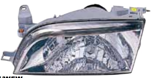 CodePen - dataTables custom PDF